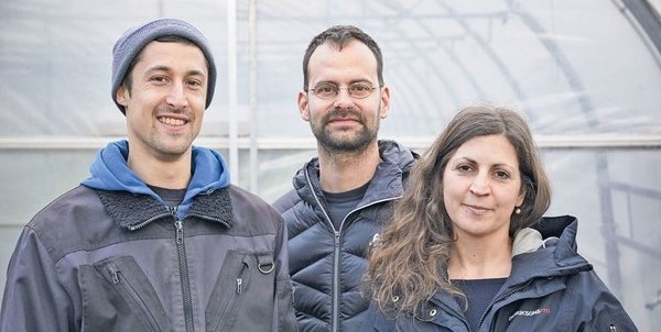 Gmües Mattli - GreenPick